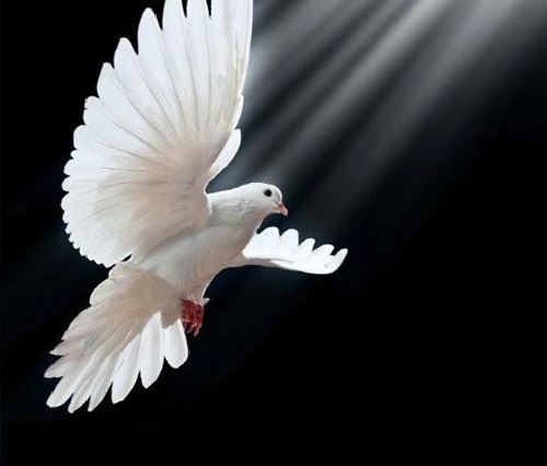 Przyjdź Duchu Święty - Czuwanie przed Uroczystością Zesłania Ducha ...